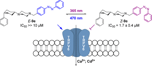 Photoswitchable Inhibitor of the Calcium Channel TRPV6