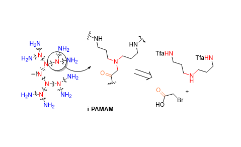 Submonomer Synthesis of Inverse Polyamidoamine (i-PAMAM) Dendrimer ...